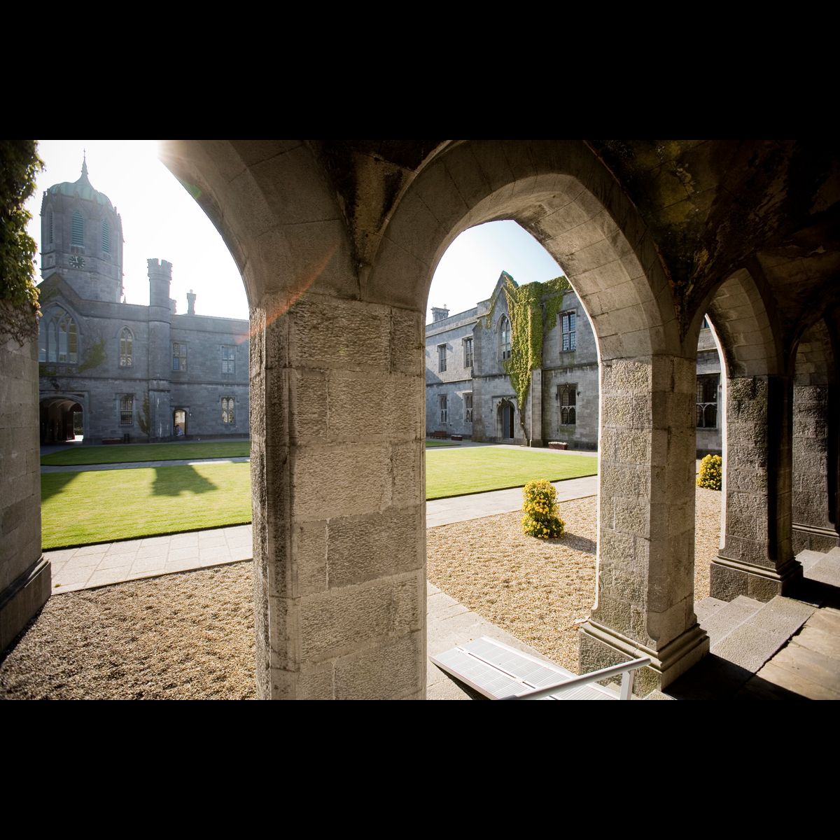 Minister Higgins announces €7m funding for BioInnovate Ireland at ...