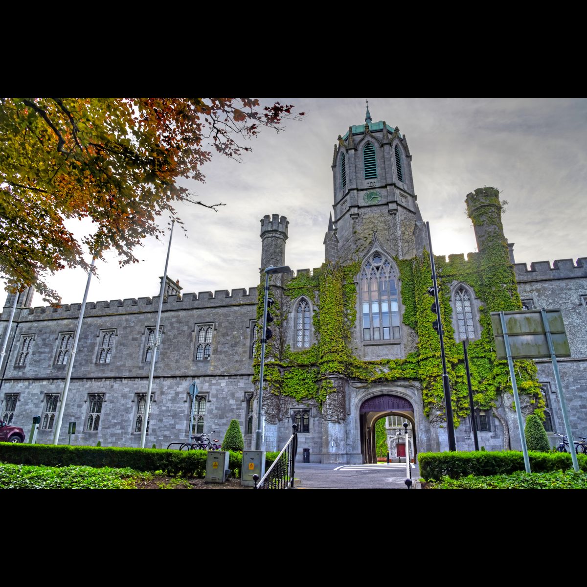 Prof Martin O'Halloran