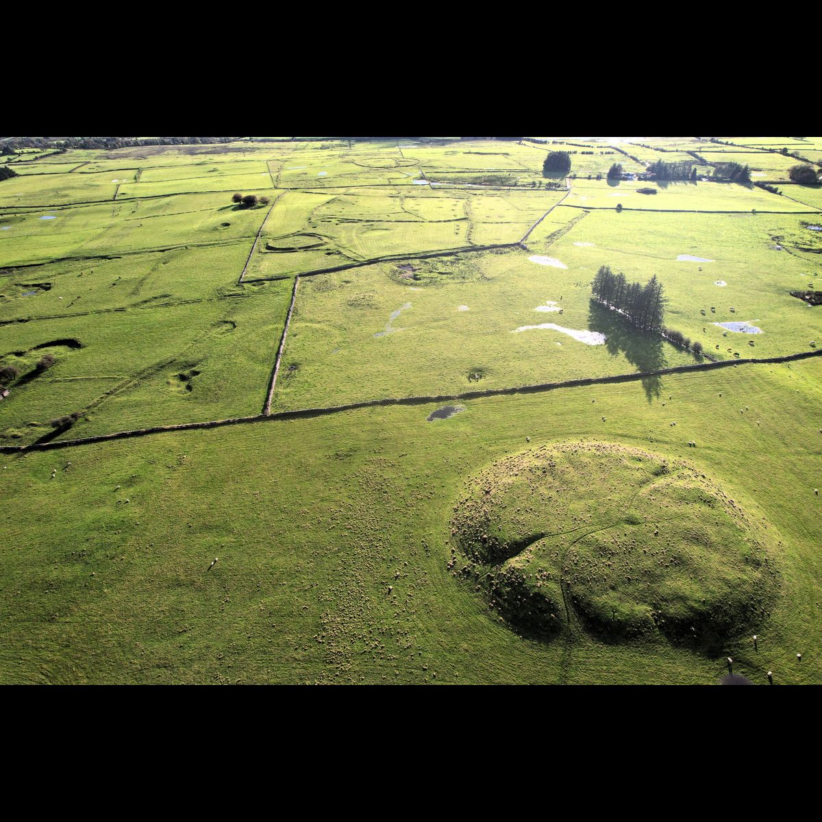 Reaping the rewards of living and farming at Rathcroghan, a culturally ...